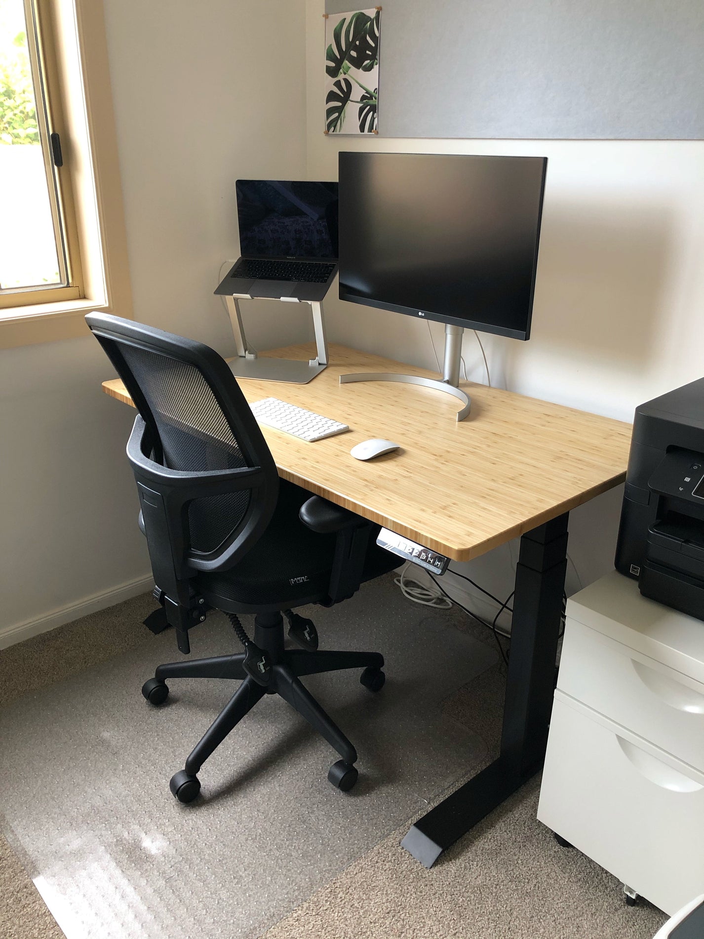 Stando - Arena Bamboo Sit Stand Desk - Australia Wide – Stando.